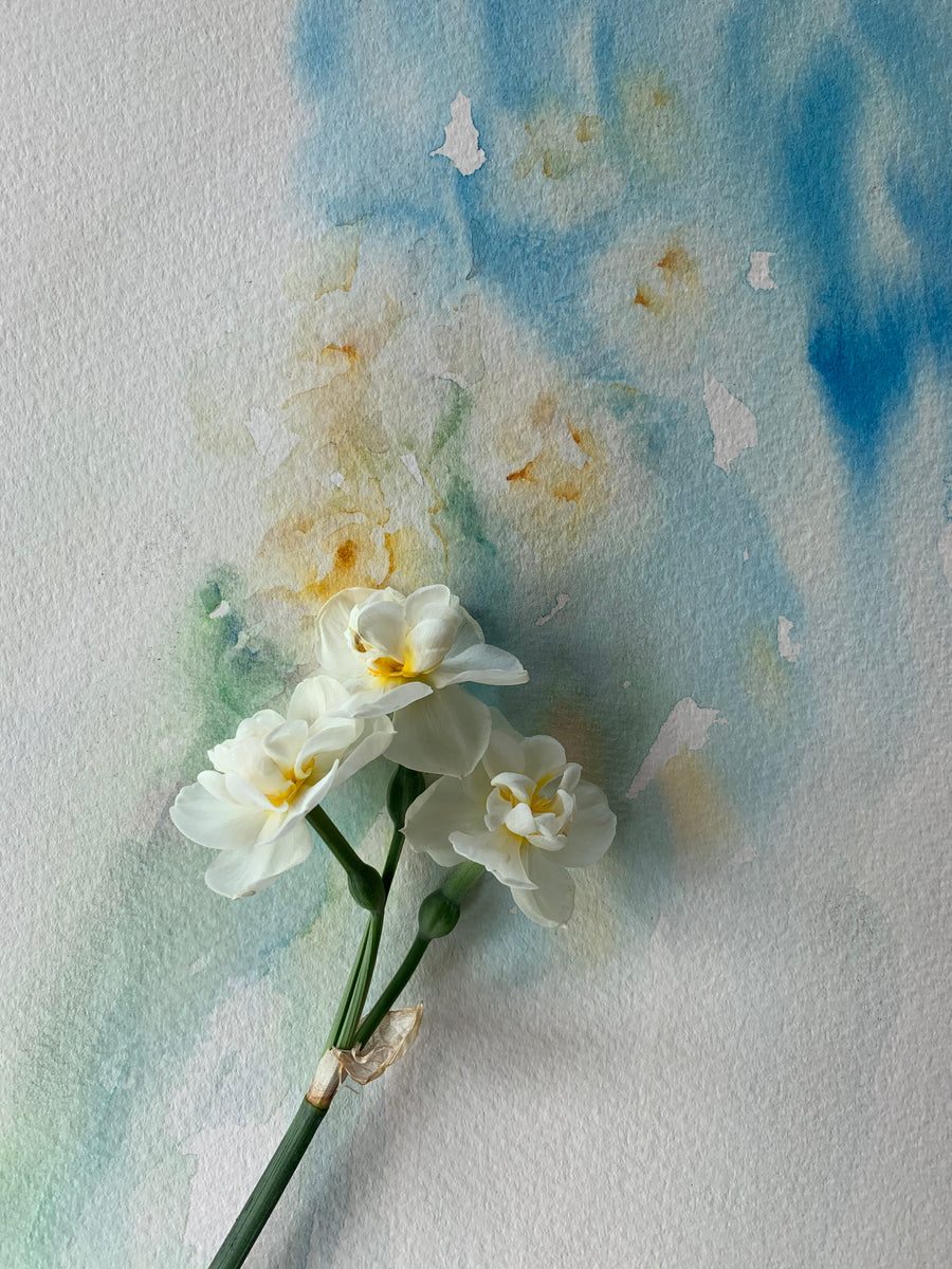 Become a Founding Member! – Jean Haines