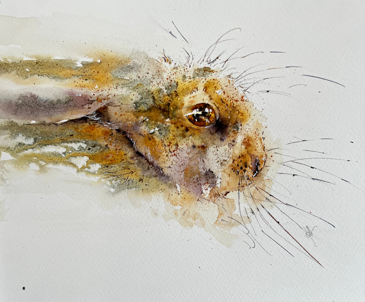 Hare Today – Jean Haines